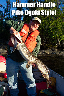 Trophy Northern Pike Fishing